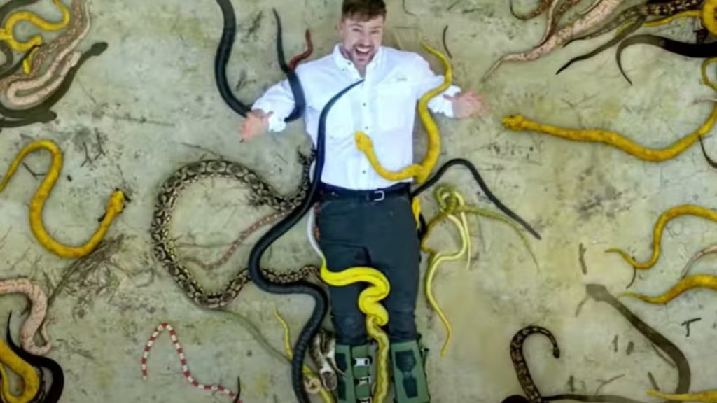 Youtuber elege ilha de SP como o lugar mais mortal do mundo